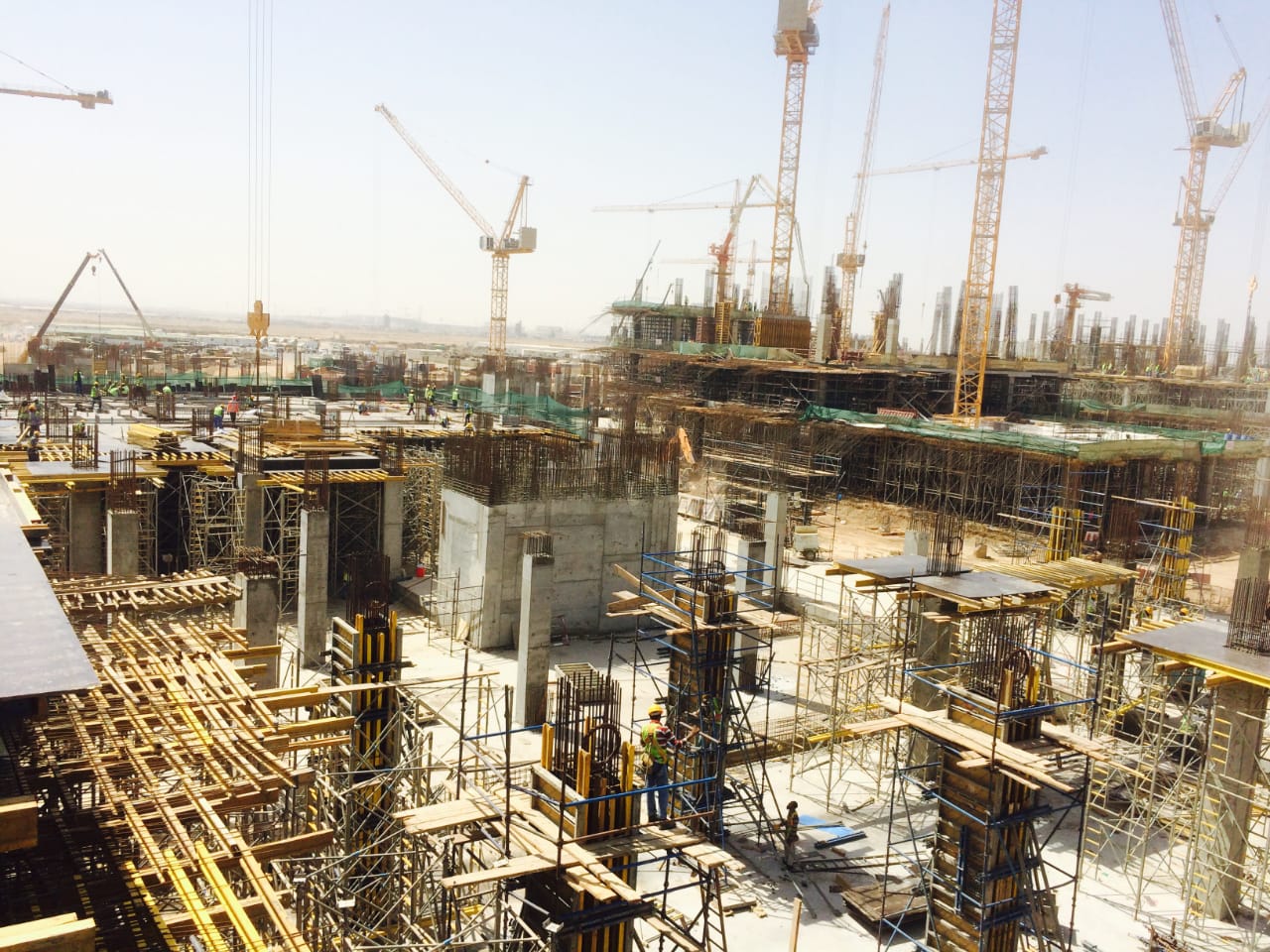 Projects | Building Roots